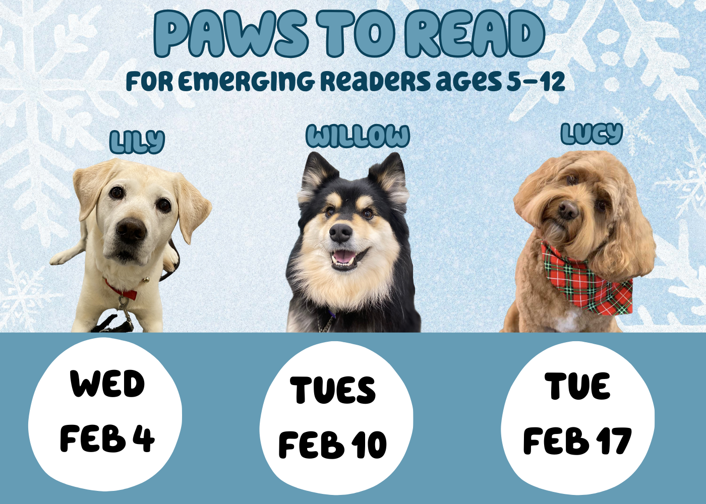 Paws to Read in February | Bedford Public Library